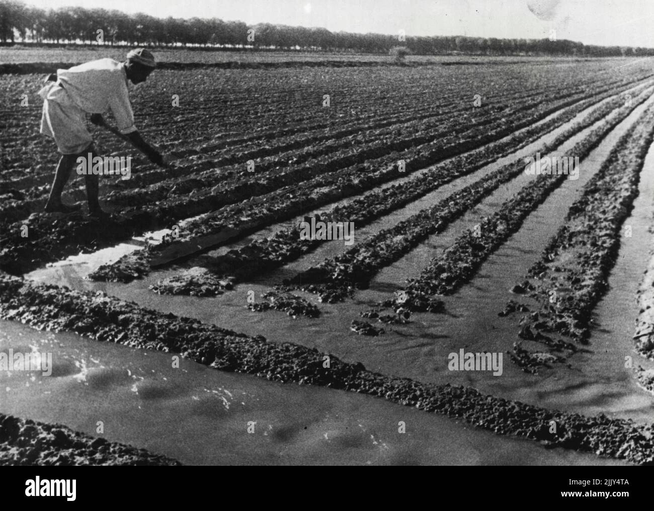 Collectivisation russia hi-res stock photography and images - Alamy