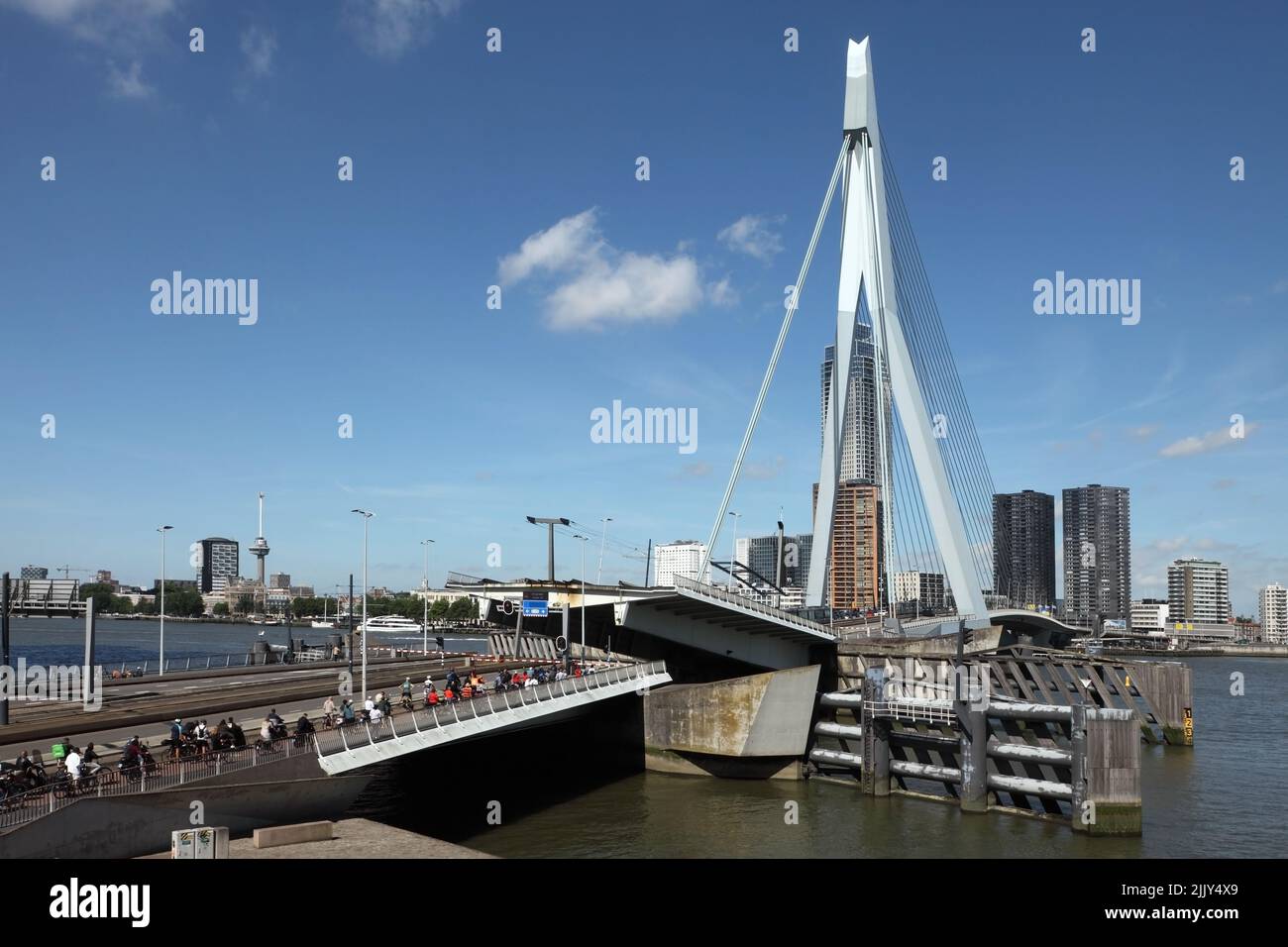 The Erasmusbrug or Erasmus Bridge (1996), Rotterdam, Netherlands in ...