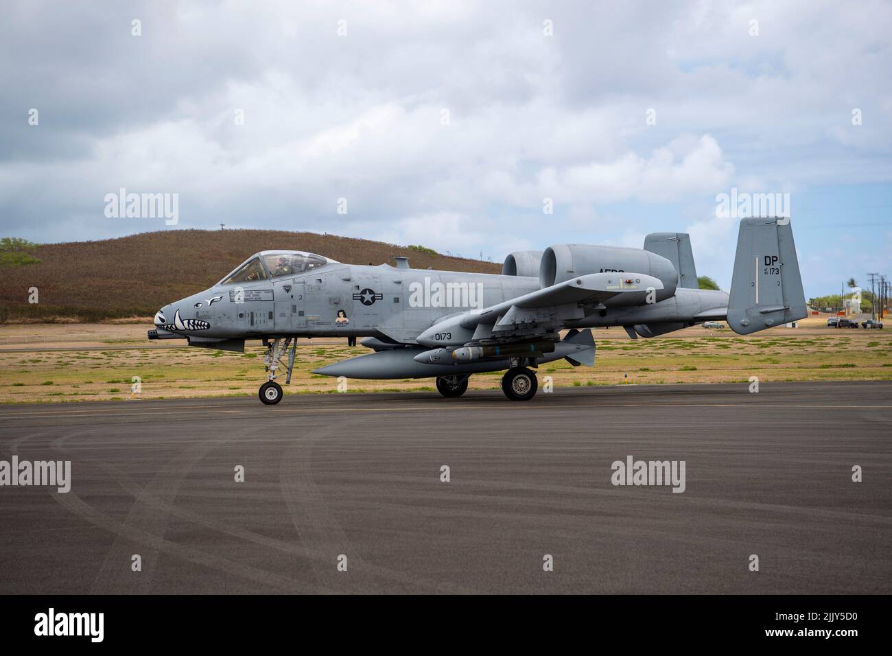 An A-10 Thunderbolt II aircraft from the 924th Fighter Group, Davis ...