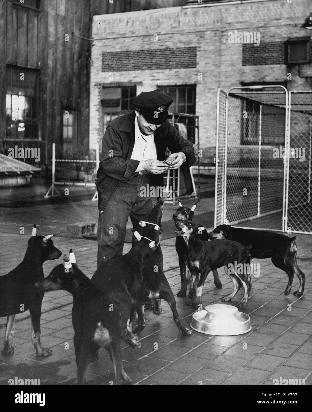 New york 1954 hi-res stock photography and images - Alamy