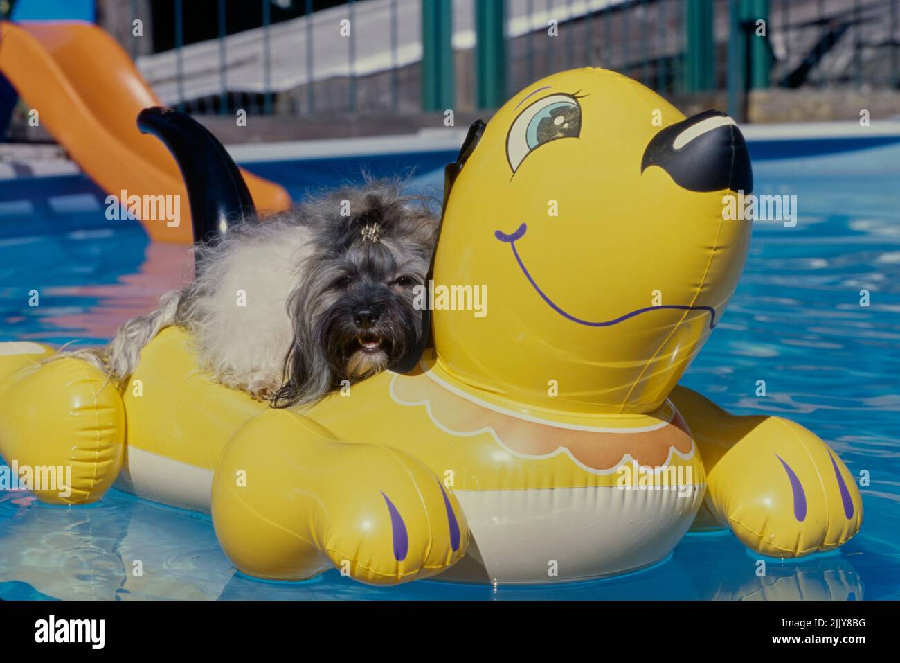 Pool float hi-res stock photography and images - Alamy