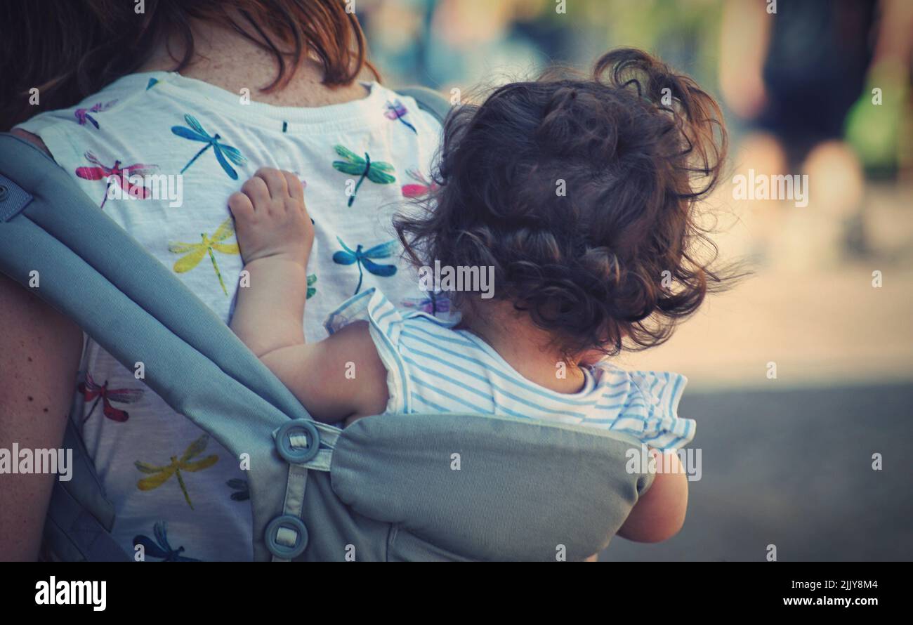 A back view of a cute child in a backpack holder on a mother's back ...