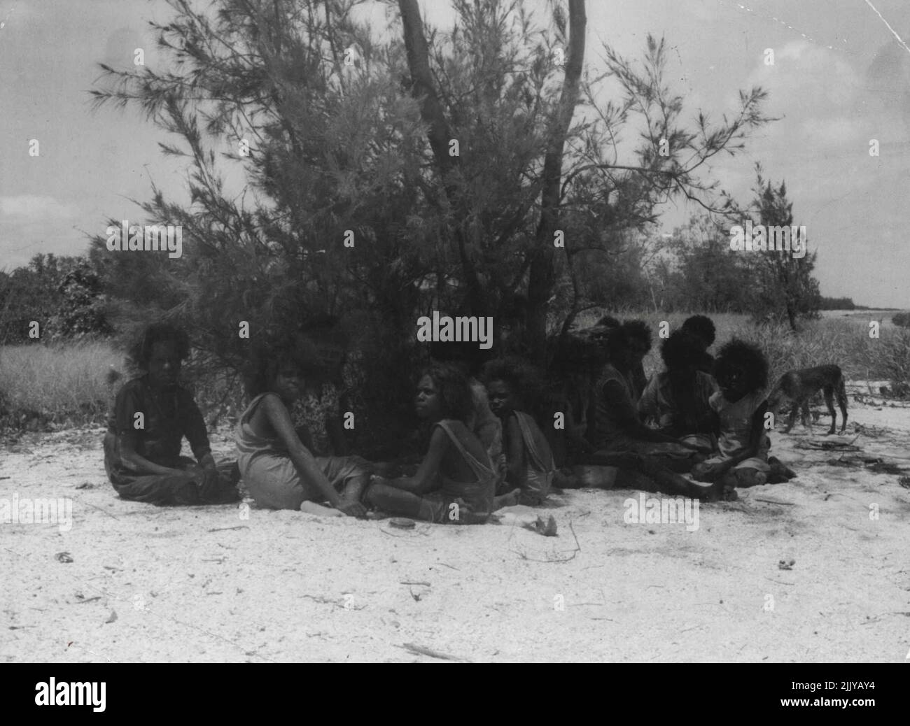 Lubras of the different tribes keep strictly to themselves at the ...