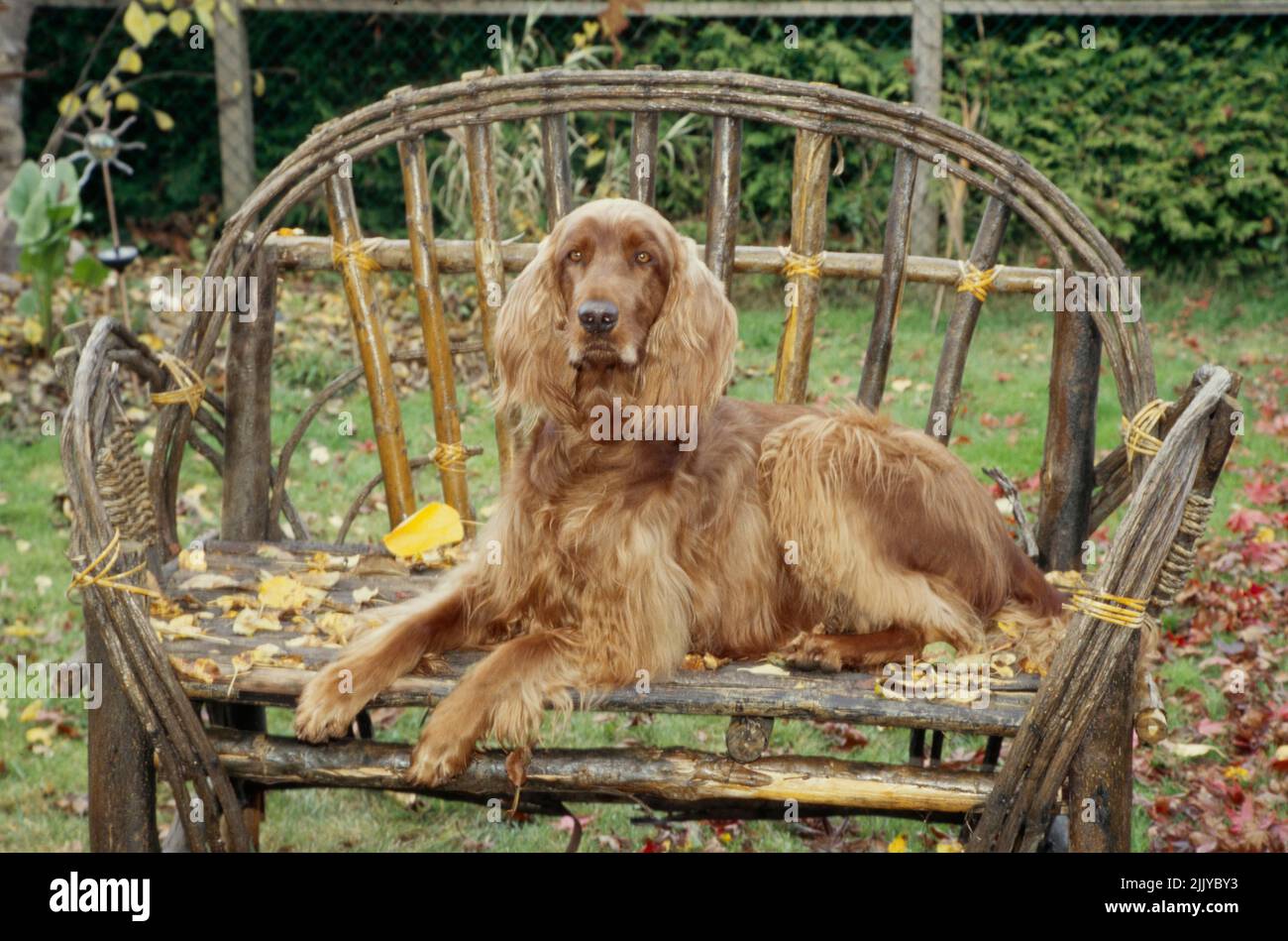 Chair irish hi-res stock photography and images - Alamy