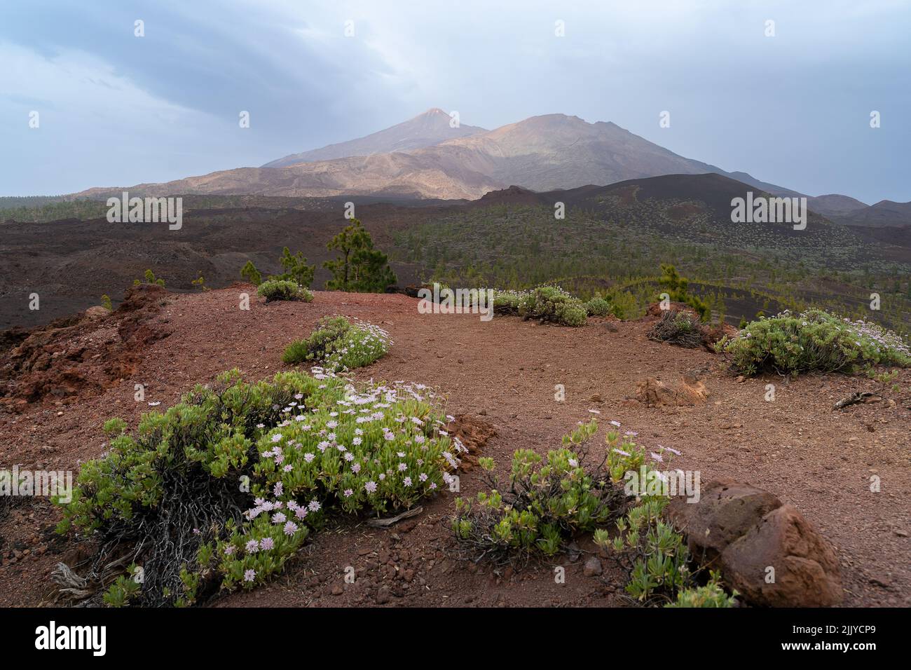 An aerial view of Mount Teide in Teide national park, Tenerife, Canary ...