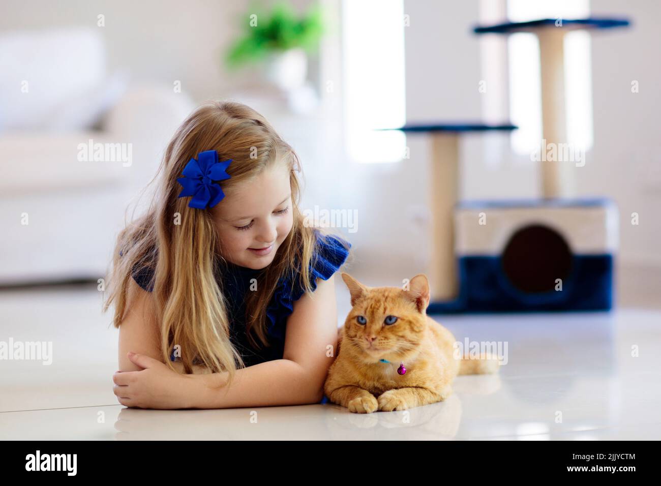 Child playing with cat at home. Kids and pets. Little girl feeding and ...
