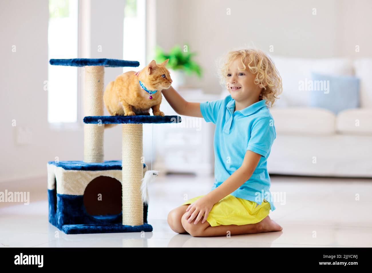 Child playing with cat at home. Kids and pets. Little boy feeding and ...