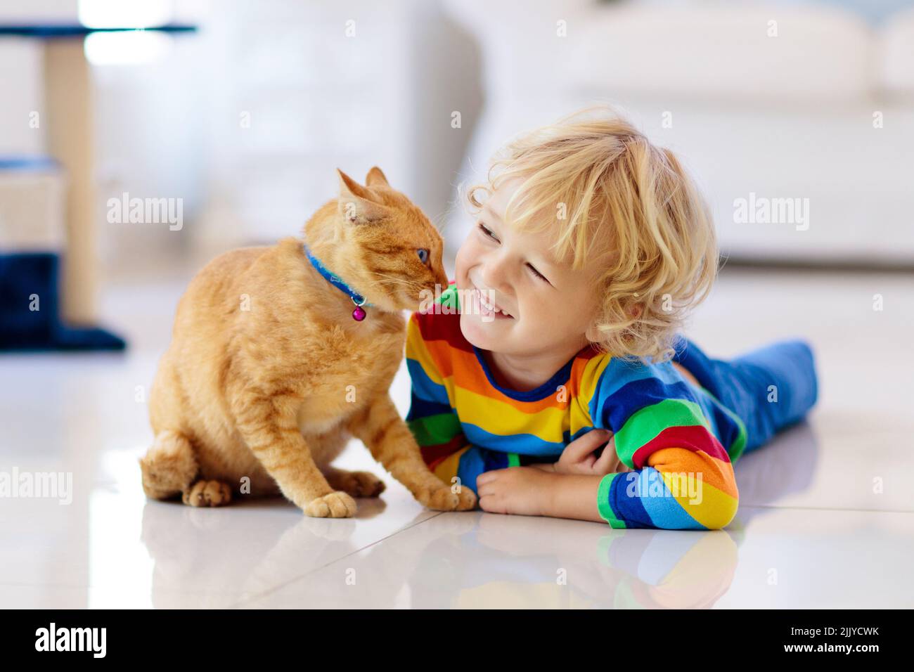 Child playing with cat at home. Kids and pets. Little boy feeding and ...
