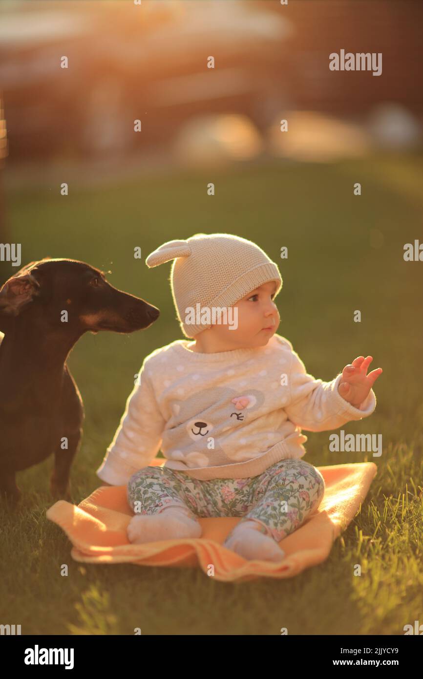 Baby with dog Stock Photo - Alamy