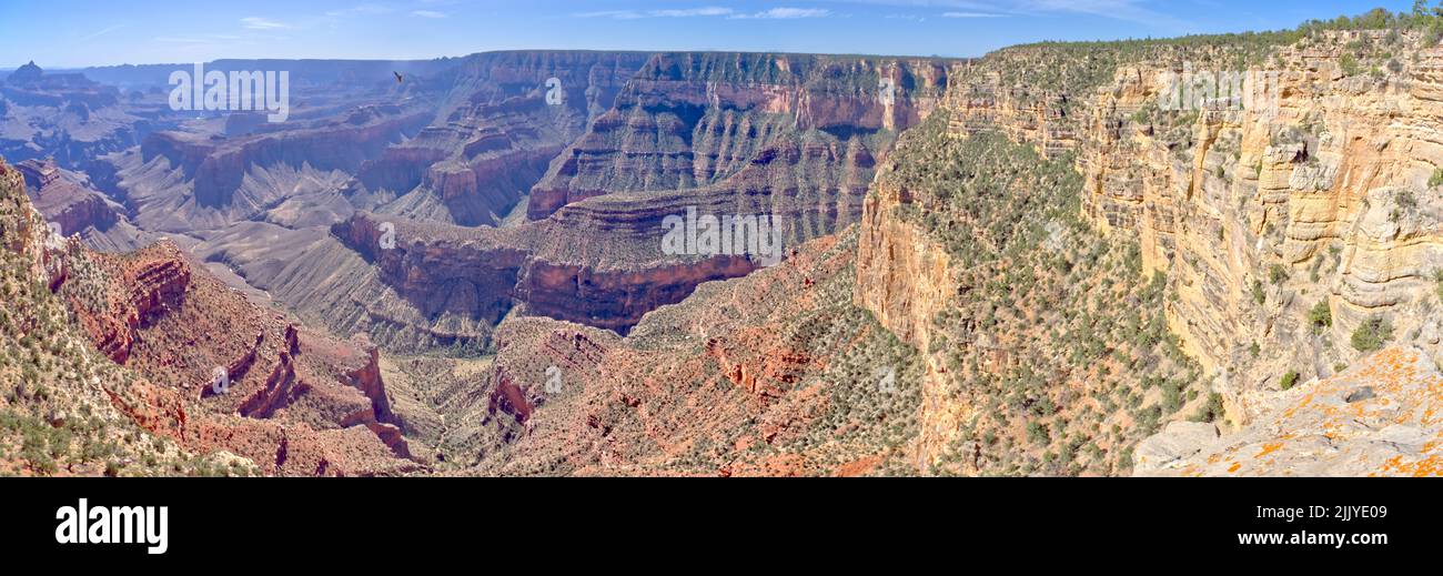 Grand Canyon Arizona viewed from an area halfway between Shoshone Point and the Duck On A Rock ...