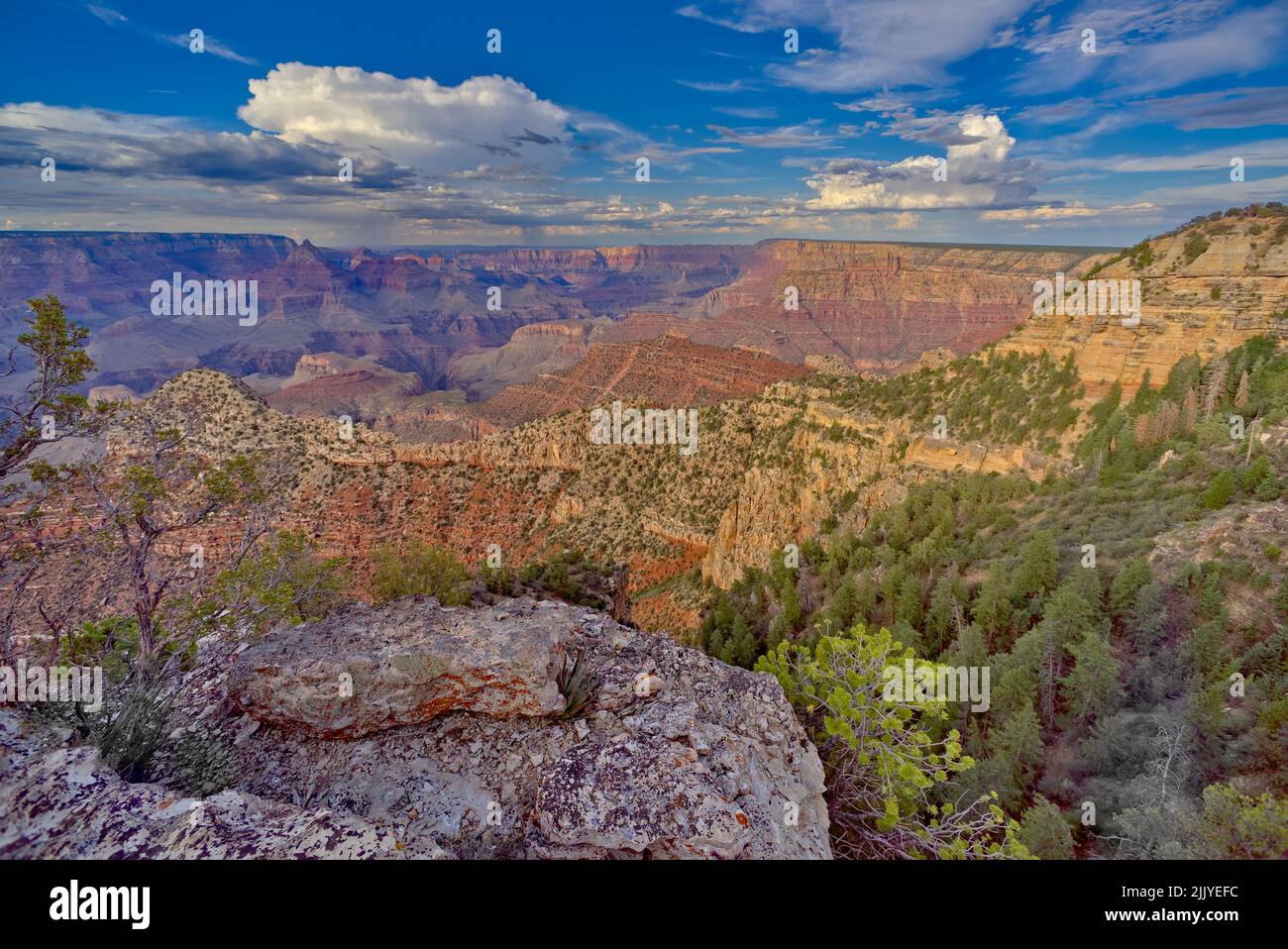 Grand Canyon Arizona viewed just west of Grandview Point Stock Photo ...