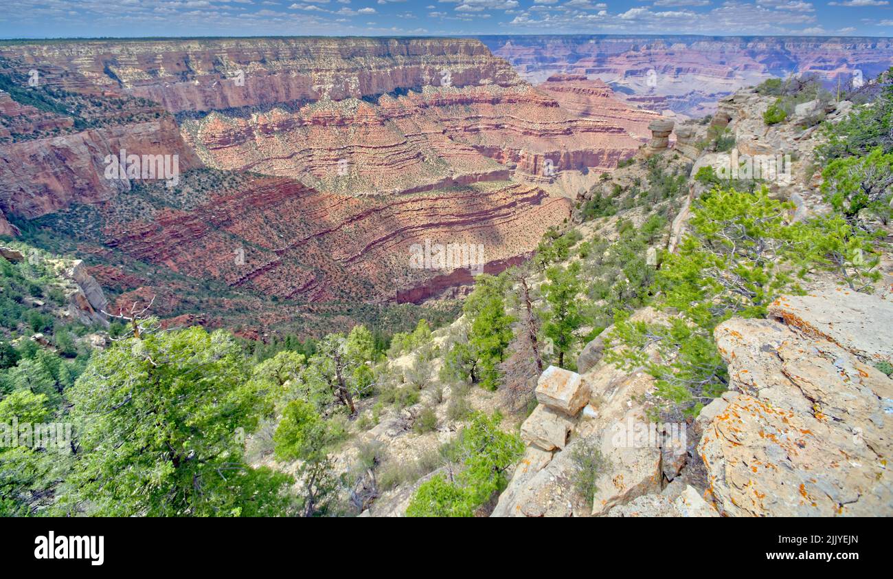 Grand Canyon Arizona viewed from a cliff east of Twin Views Overlook ...
