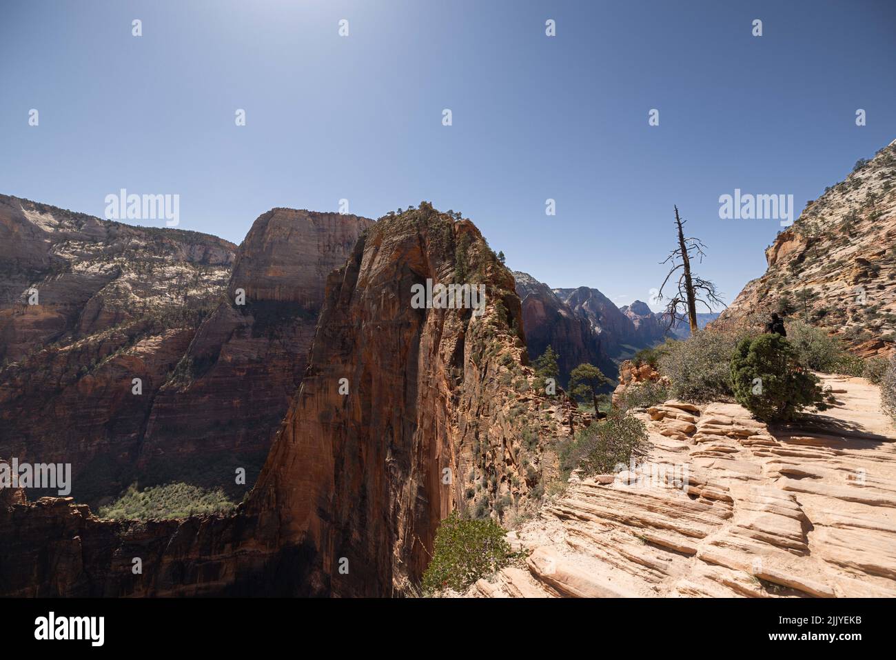 The Angels Landing Trail, beautiful views over the Virgin River canyon ...