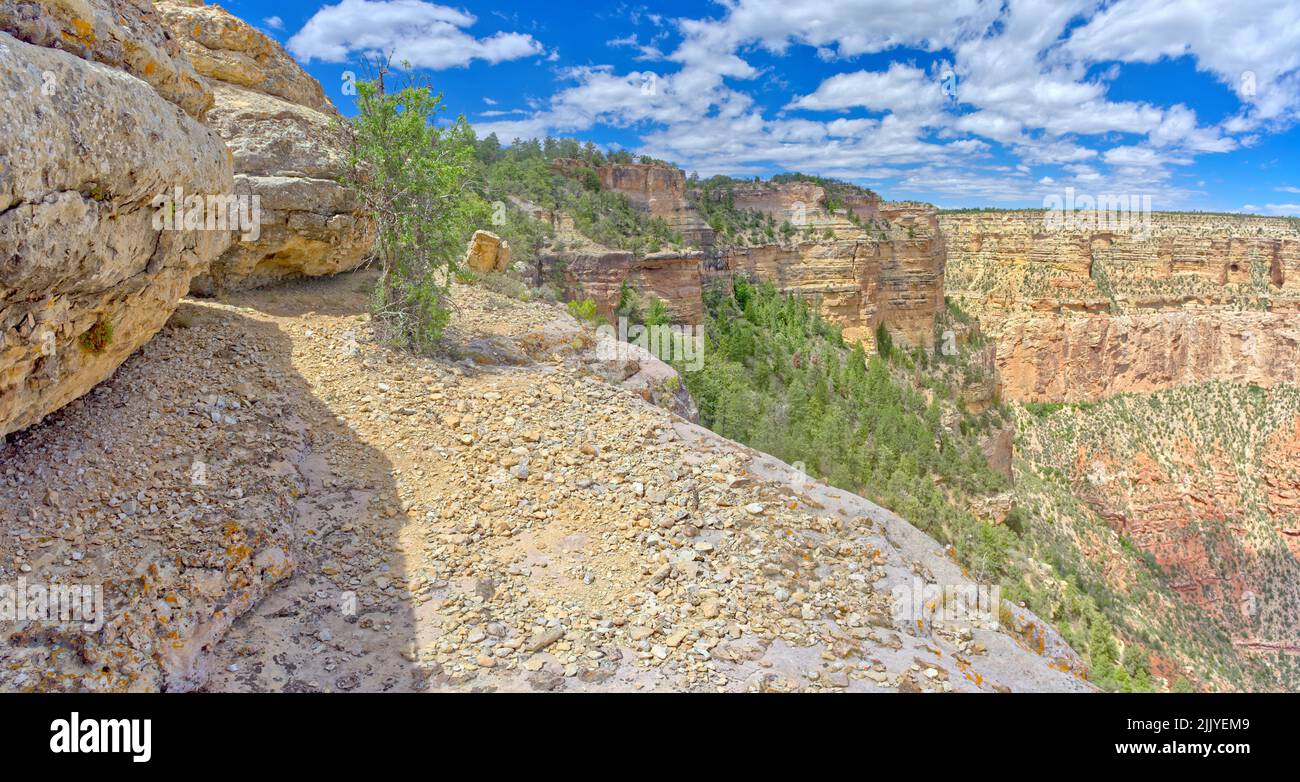 Grand Canyon Arizona viewed from the Twin Views Overlook Stock Photo ...