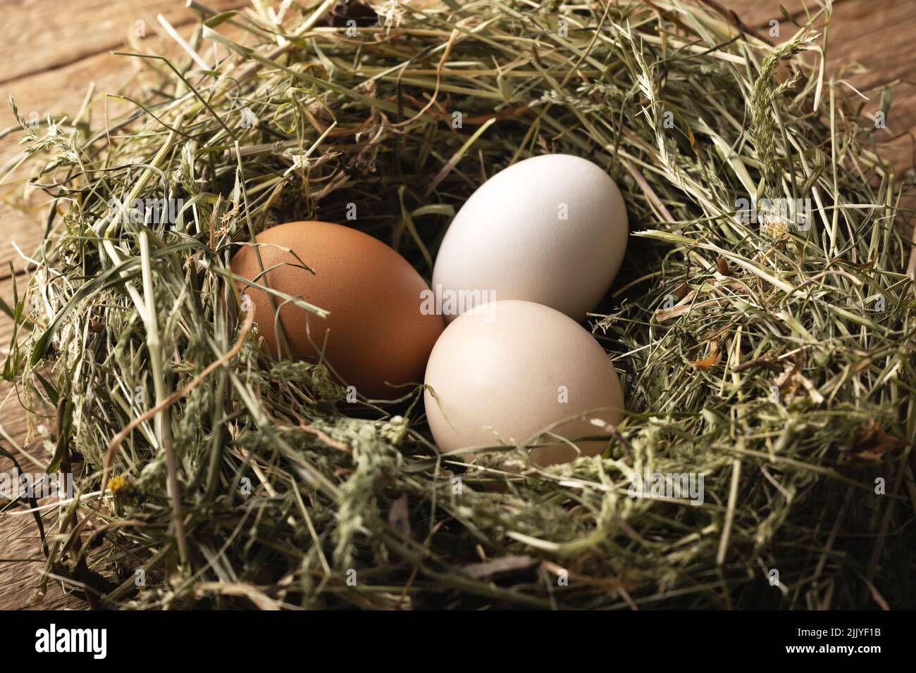 Organic chicken eggs in nest from dry hay closeup. Food photography ...