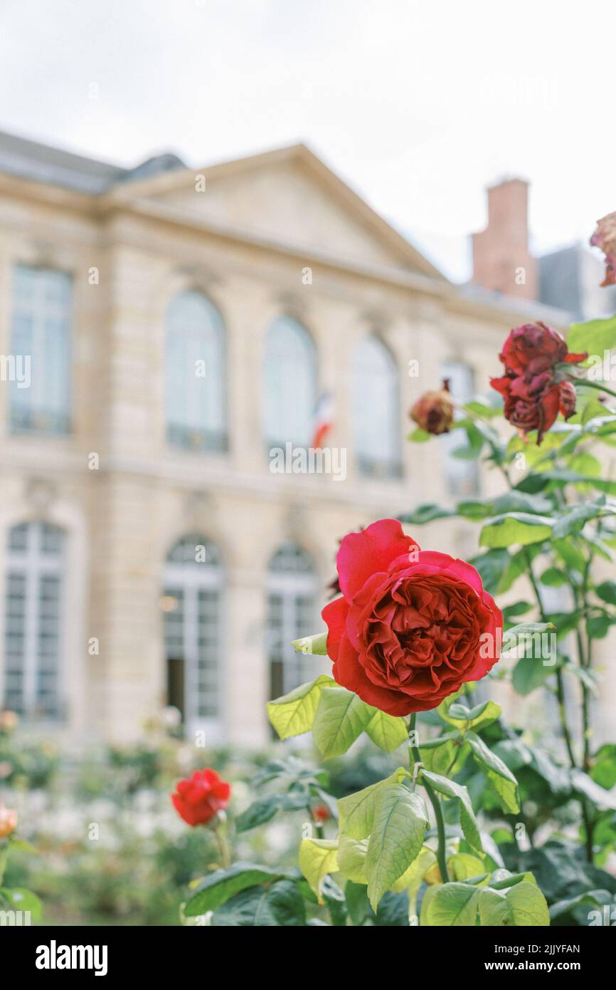 Musee rodin in paris hi-res stock photography and images - Alamy
