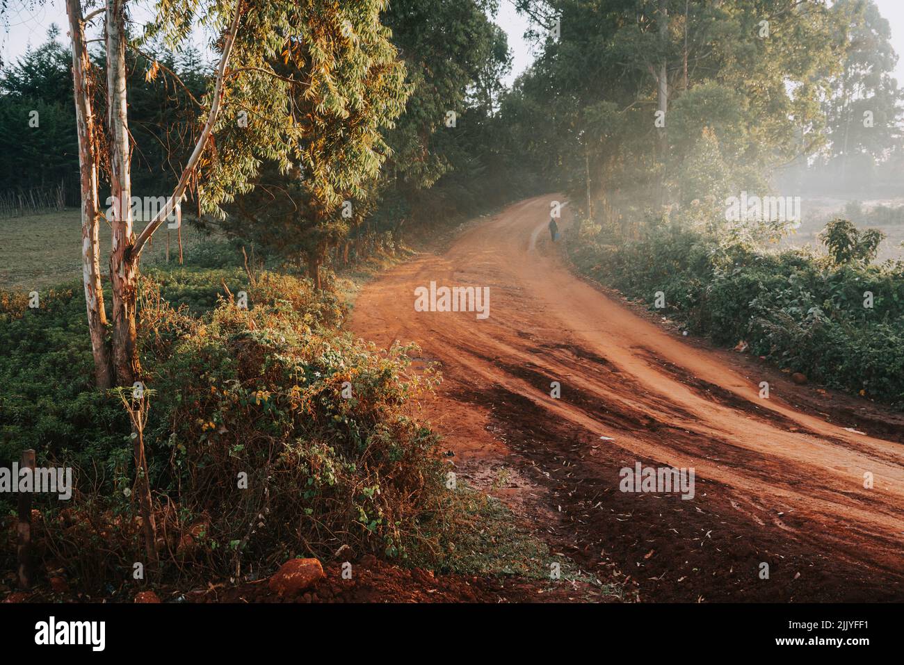Rural landscape in Africa in Kenya. Rural road with red soil and magic ...