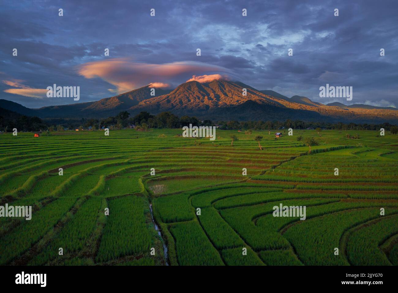 Palayan Clipart House