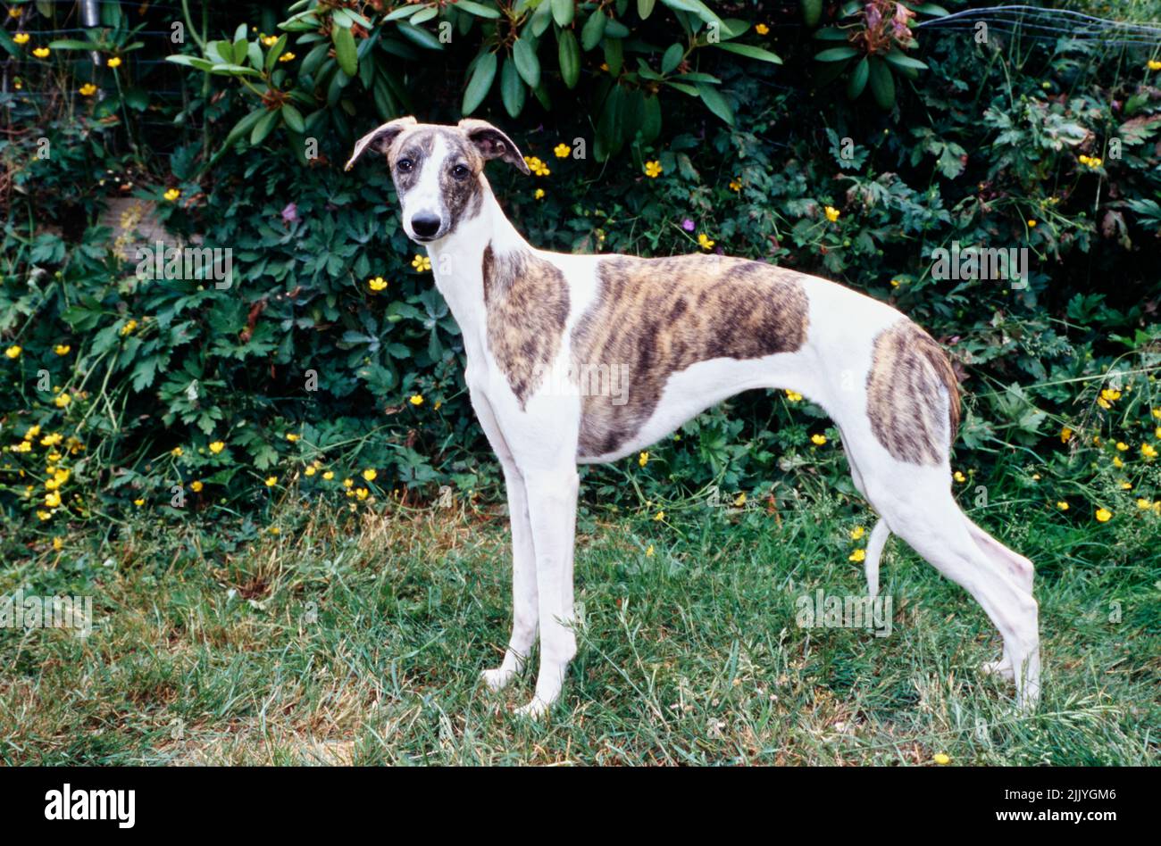 Standing front outside hi-res stock photography and images - Alamy