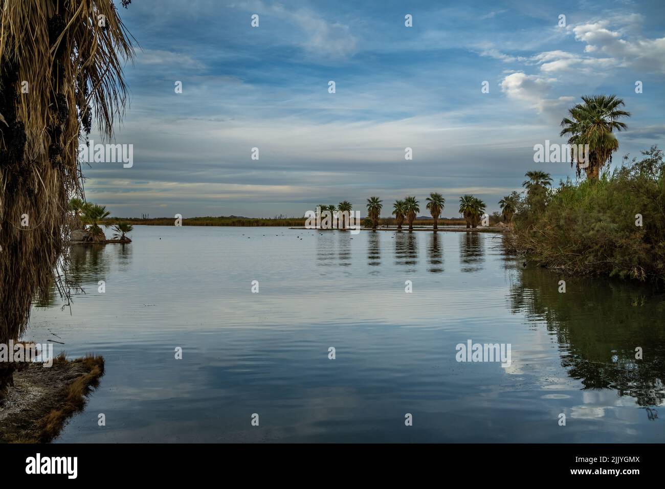 Yuma arizona park hi-res stock photography and images - Alamy
