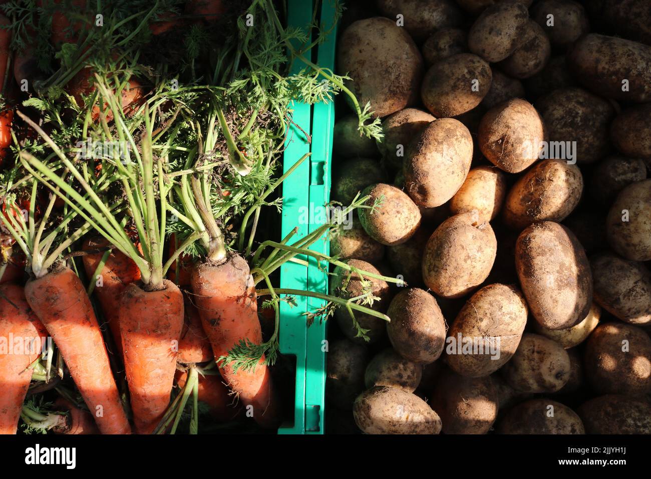 root crops inside crates for display Stock Photo - Alamy