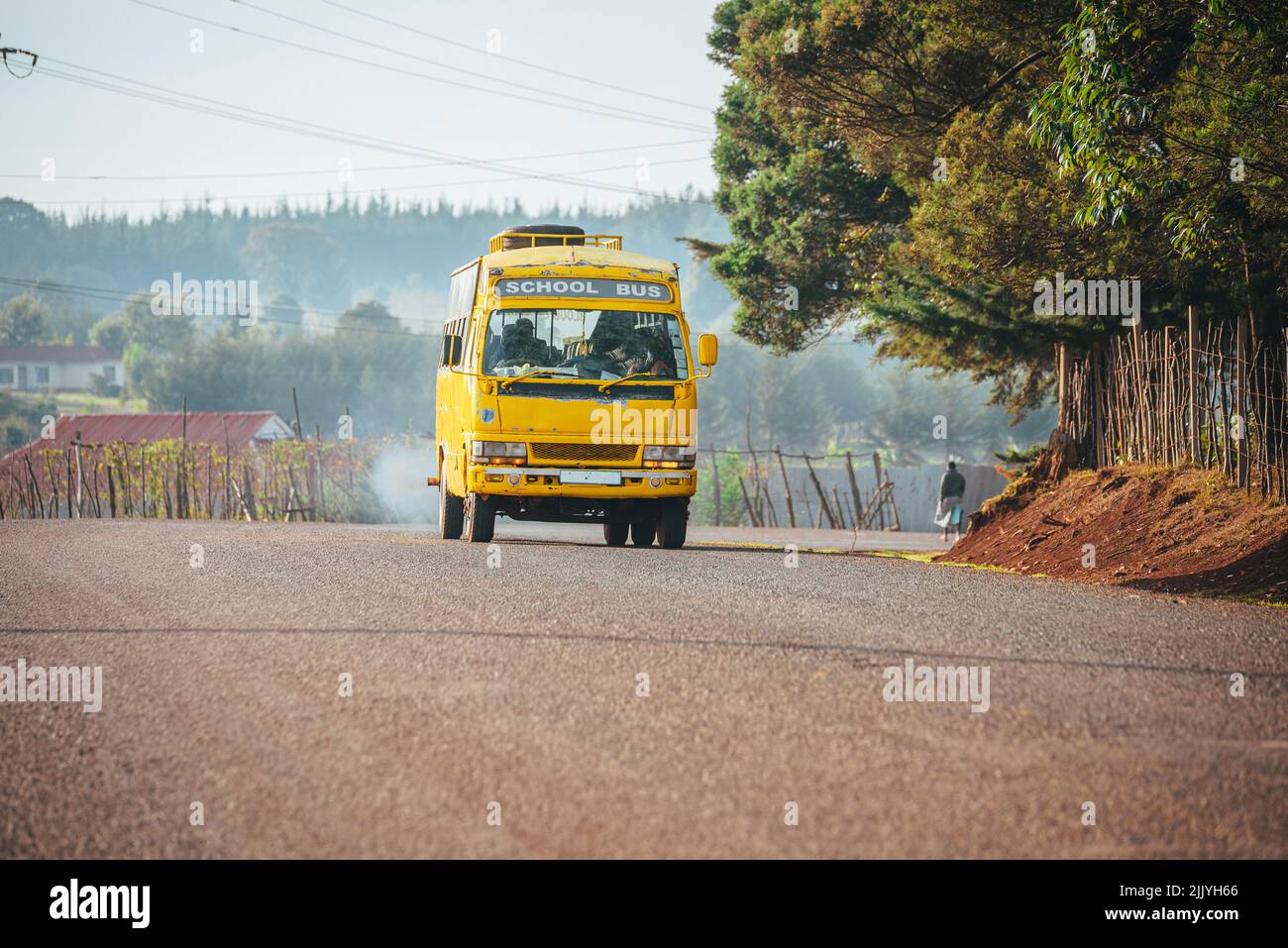 illustration of a vintage yellow school bus viewed from the rear Stock Photo - Alamy
