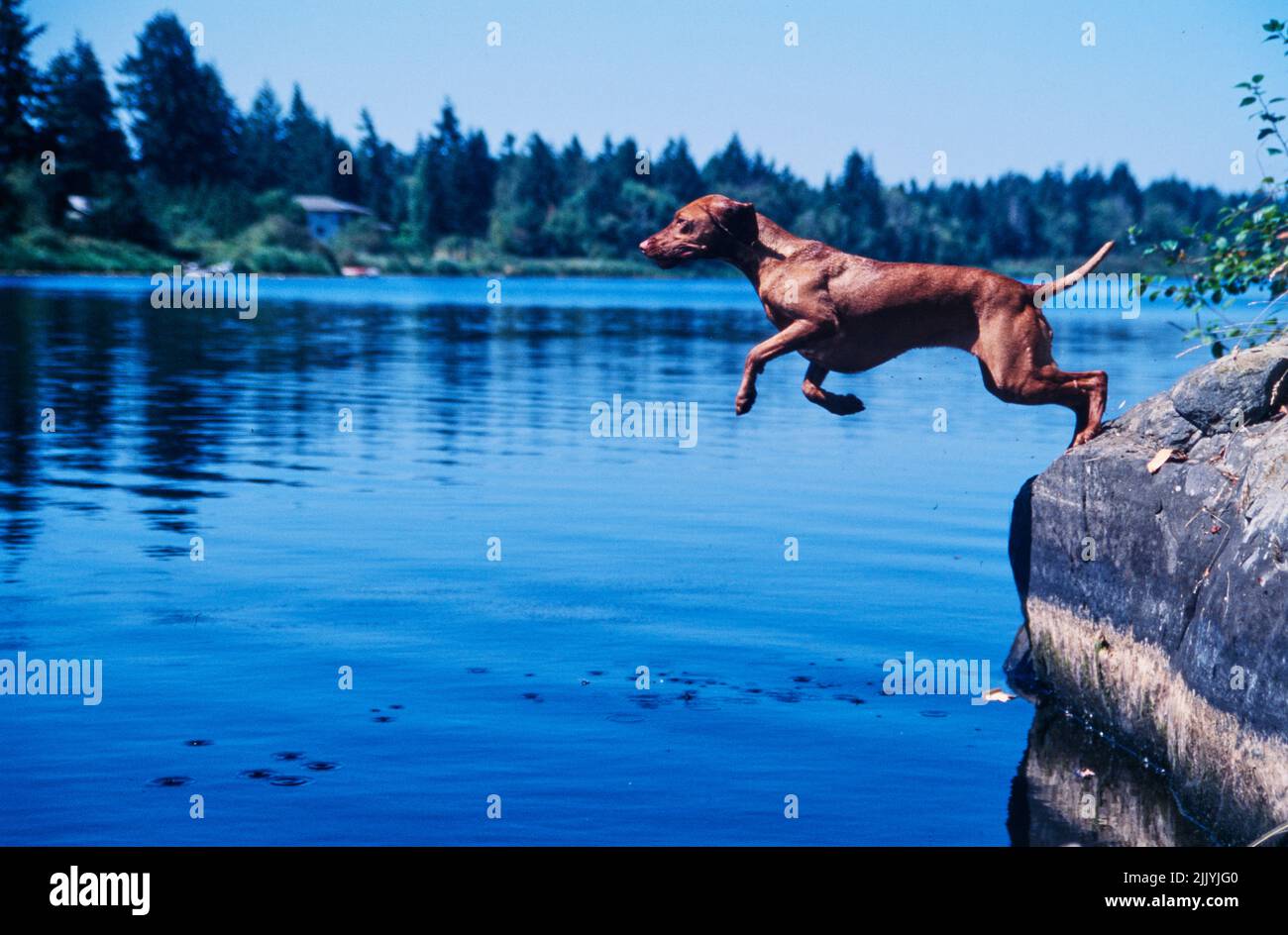 Water from stone hi-res stock photography and images - Alamy