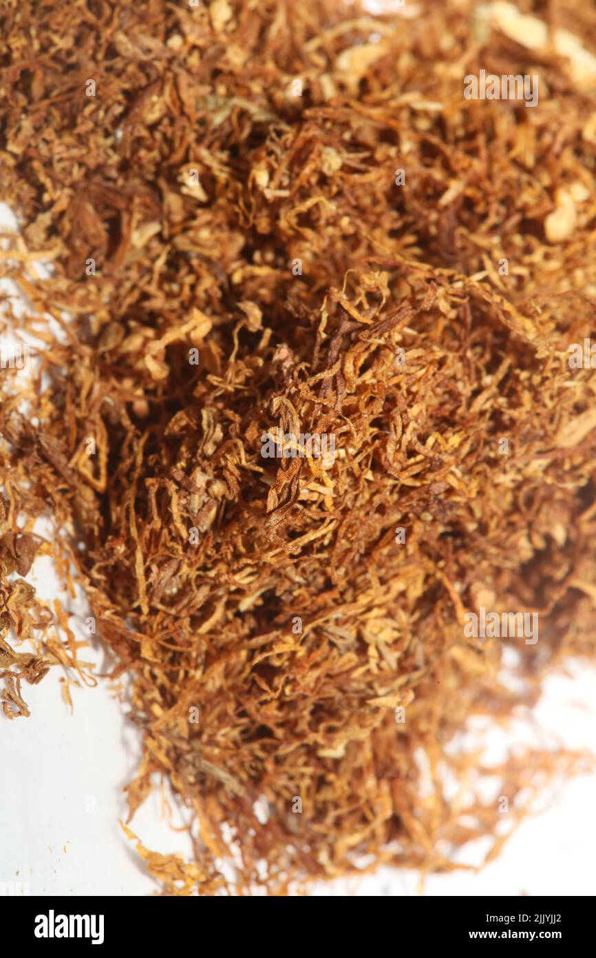 Smoking rolled tobacco leaves close up modern background high quality ...