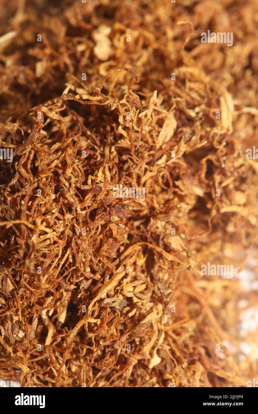 Smoking rolled tobacco leaves close up modern background high quality ...