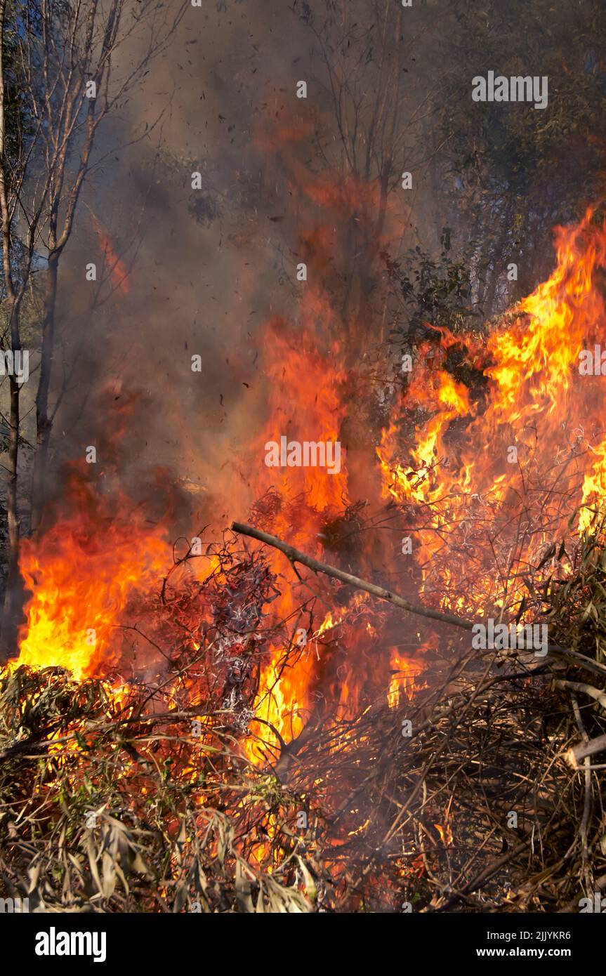 Fire flash hi-res stock photography and images - Alamy
