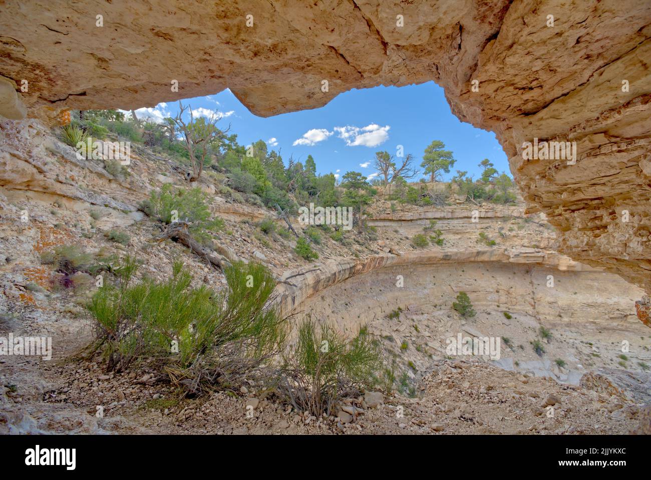 A little natural arch near Duck On A Rock Overlook in Grand Canyon ...