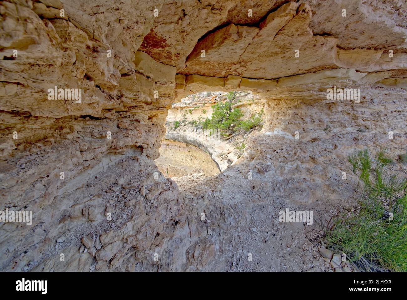 A little natural arch near Duck On A Rock Overlook in Grand Canyon ...