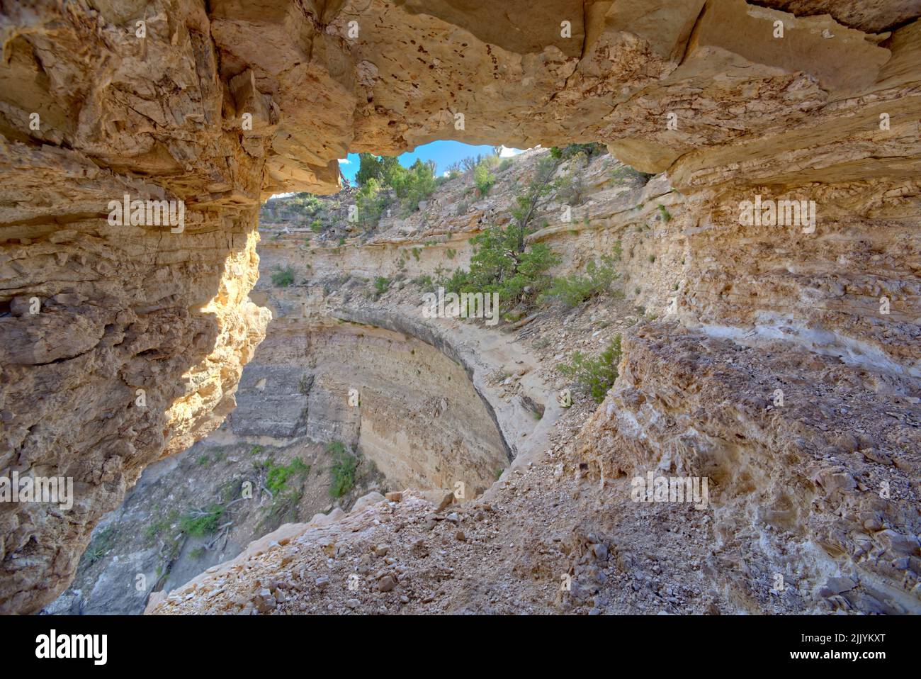 A little natural arch near Duck On A Rock Overlook in Grand Canyon ...