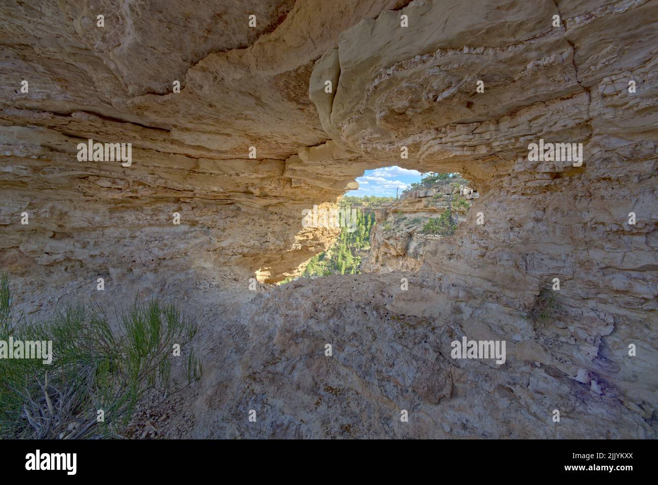 A little natural arch near Duck On A Rock Overlook in Grand Canyon ...