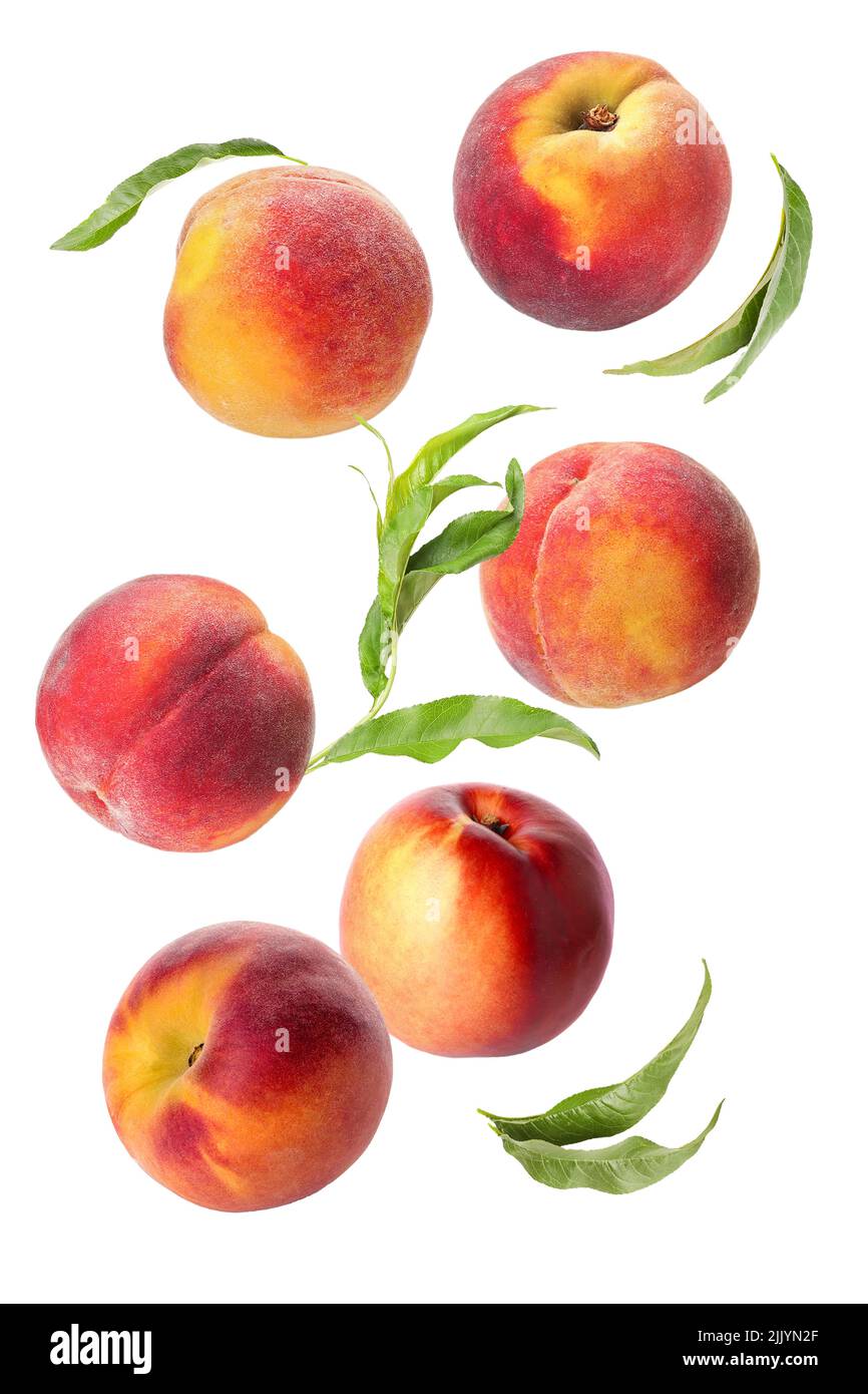 Falling peaches hi-res stock photography and images - Alamy