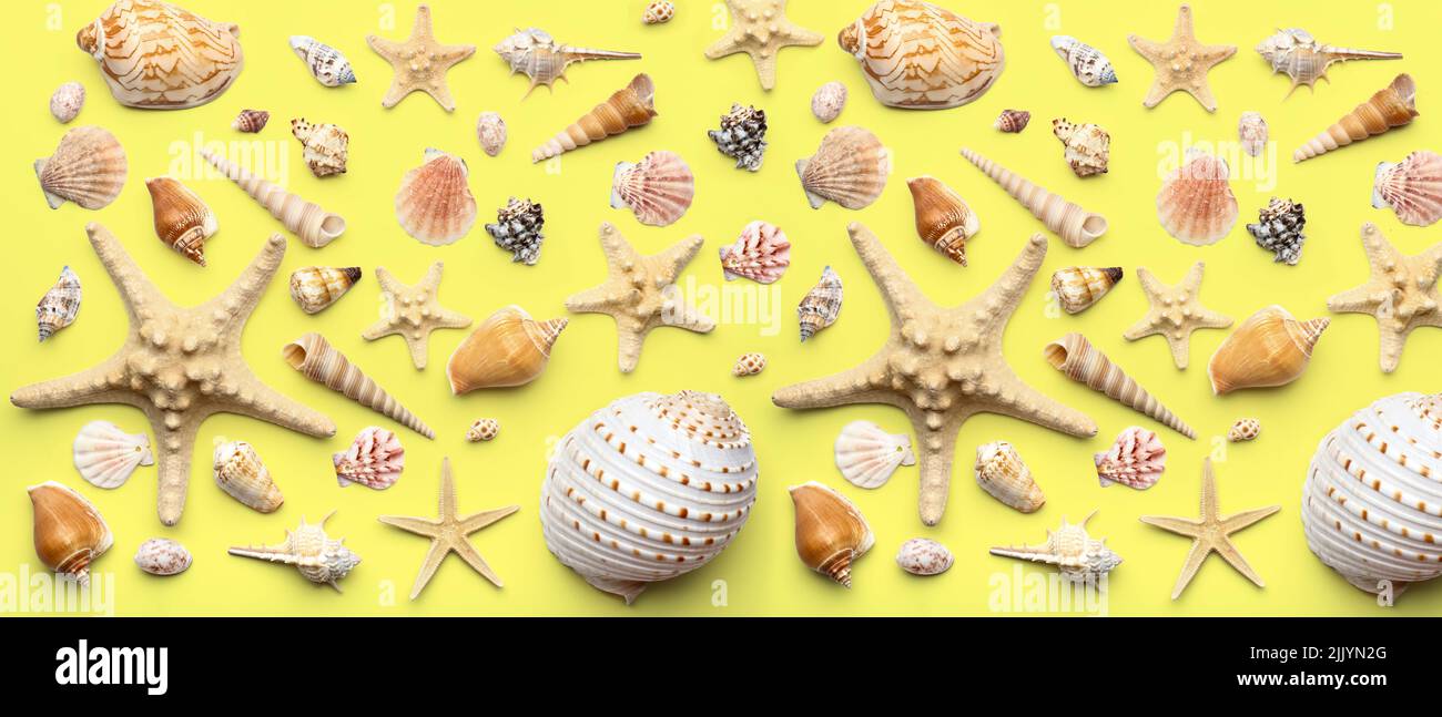 Many beautiful sea shells on yellow background, top view. Pattern for ...