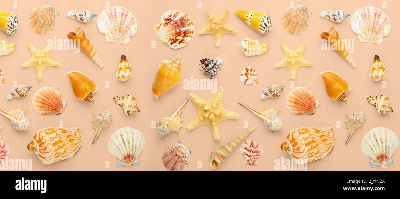 Many beautiful sea shells on beige background, top view. Pattern for ...