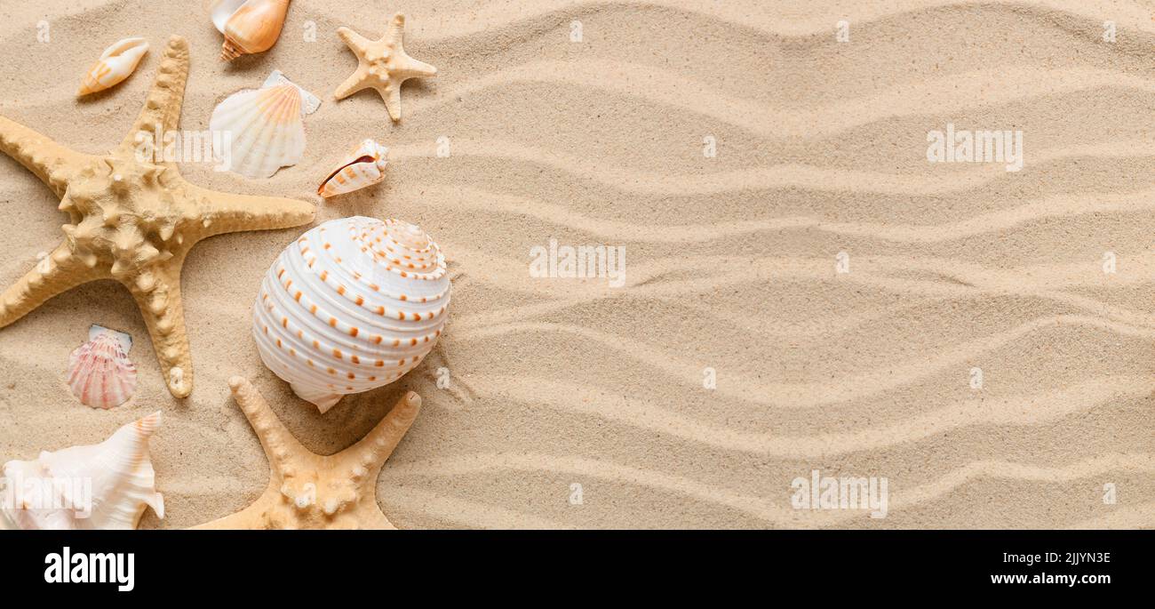 Different sea shells and starfish on beach sand. Banner for design ...