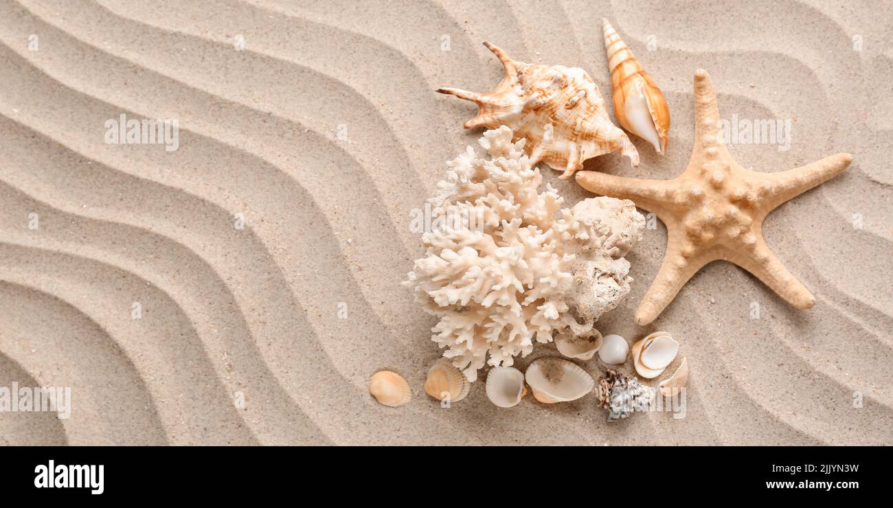 Different sea shells and starfish on beach sand. Banner for design ...