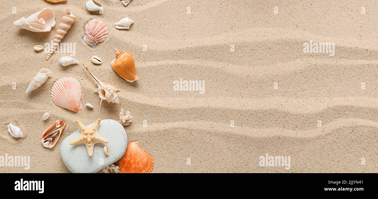 Different sea shells on beach sand. Banner for design Stock Photo - Alamy