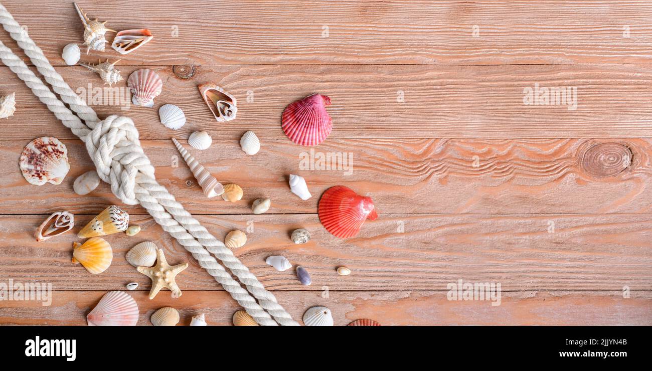 Different sea shells and rope on wooden background with space for text ...