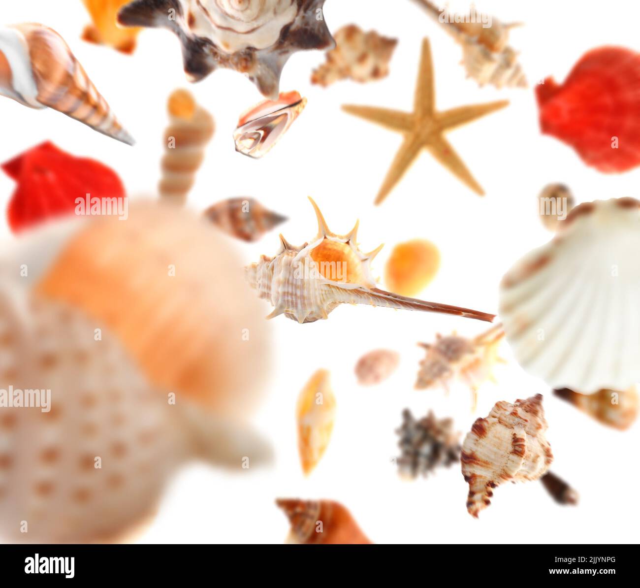 Many falling sea shells on white background Stock Photo - Alamy