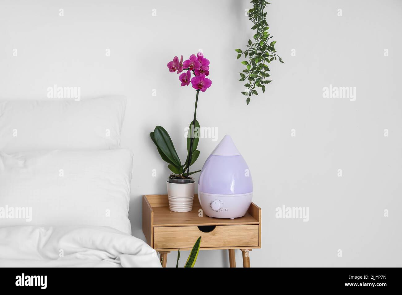 Orchid flower and humidifier on bedside table near white wall Stock ...