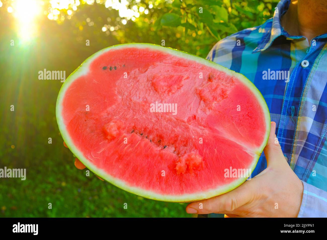 Halves of watermelon hi-res stock photography and images - Alamy