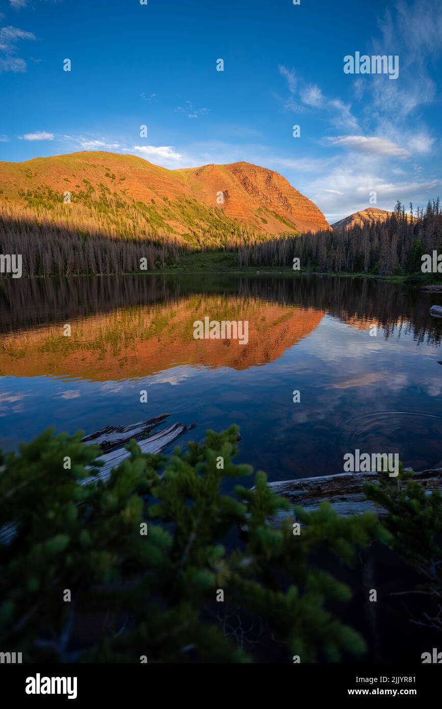 Utah alpine lake hi-res stock photography and images - Alamy