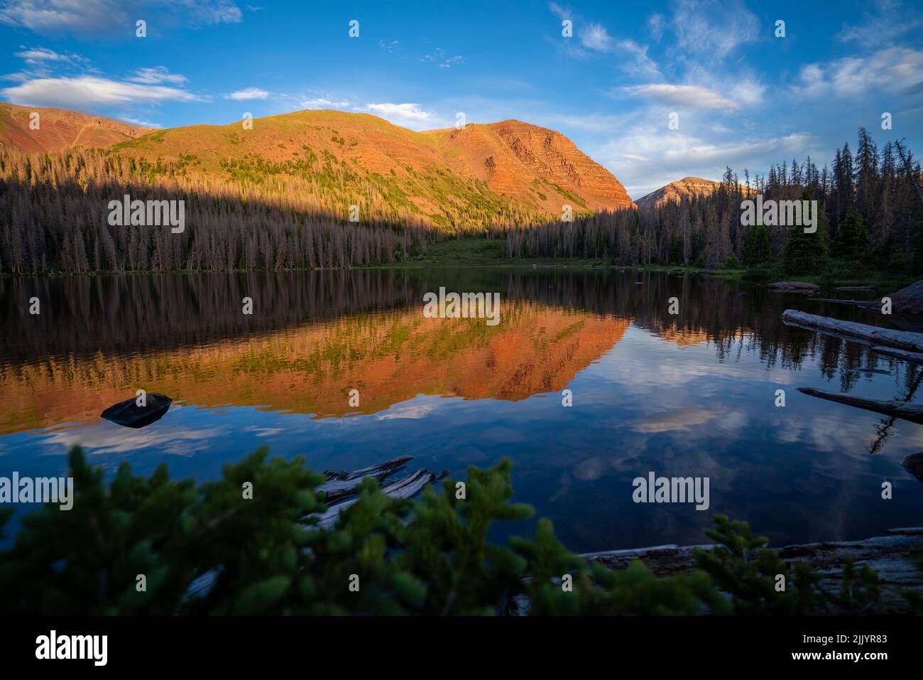 Utah alpine lake hi-res stock photography and images - Alamy
