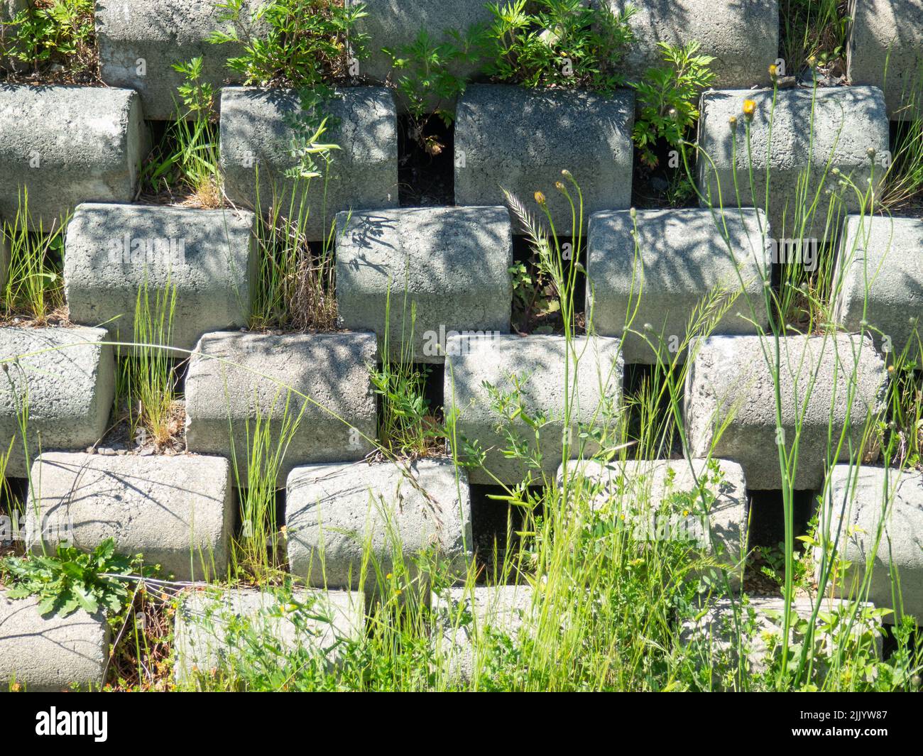 Concrete cubes on the grass. Architectural design. Wall in the park ...
