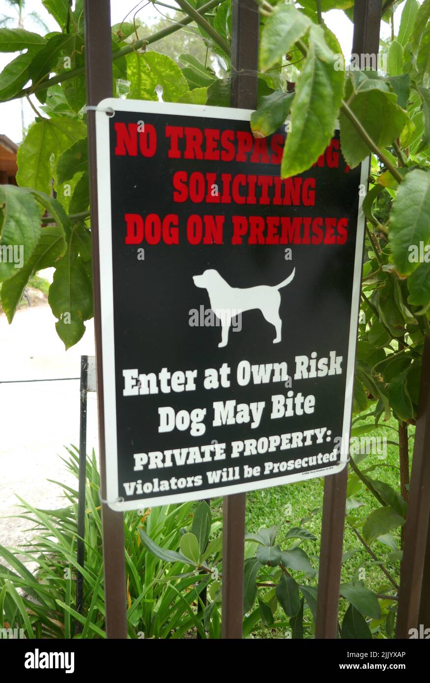 Dog on premise hi-res stock photography and images - Alamy