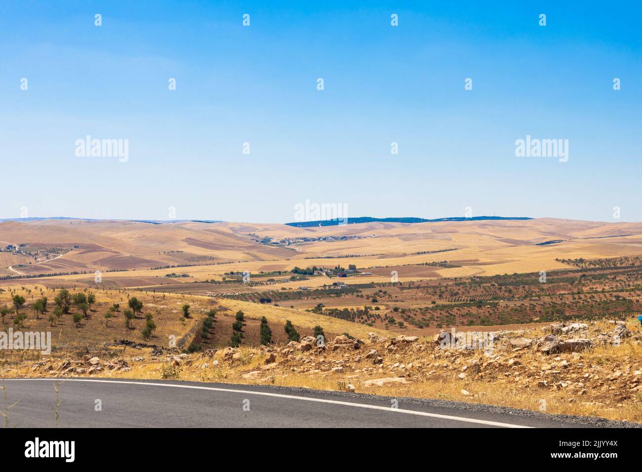 Panoramic view of beautiful nature Stock Photo - Alamy