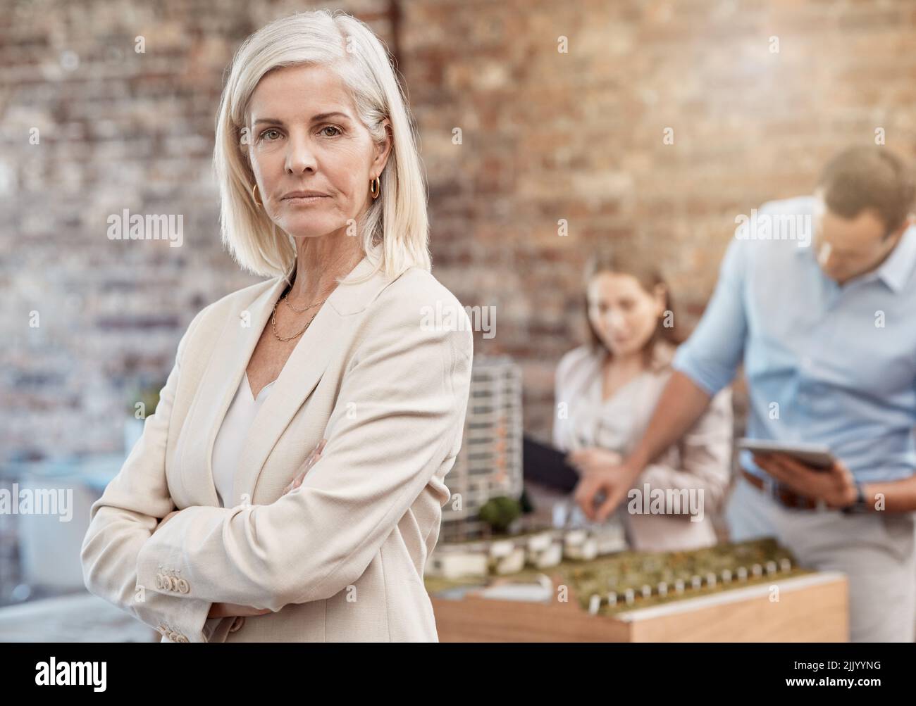 Serious, confident and assertive senior project manager leading team in ...